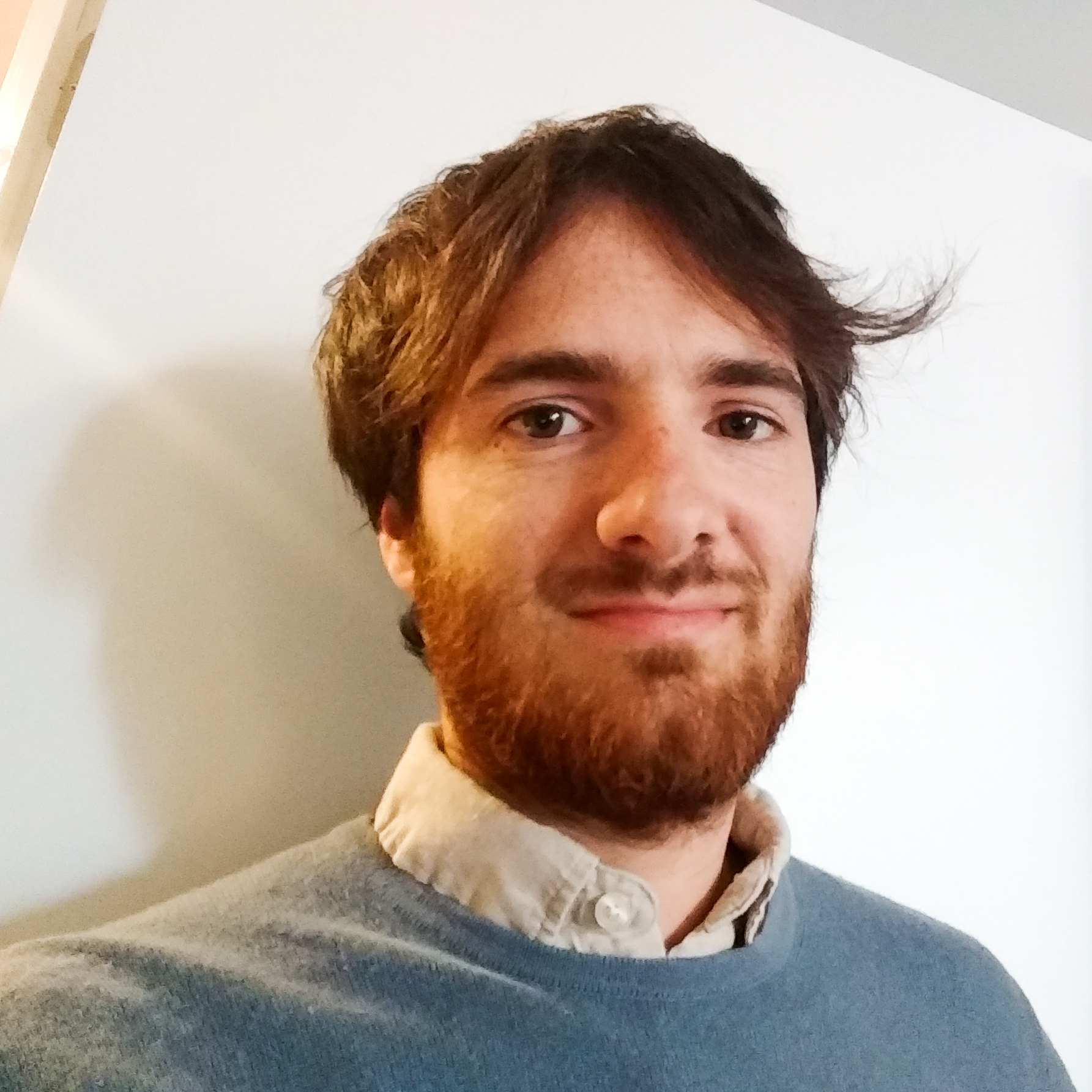 Dr. Edoardo Albisetti (Researcher, RTDA) – NaBiS